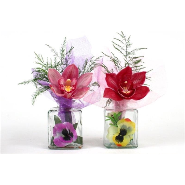 glaswerk 2 cymb. in vierkant vaasje (5799) - FloraXchange