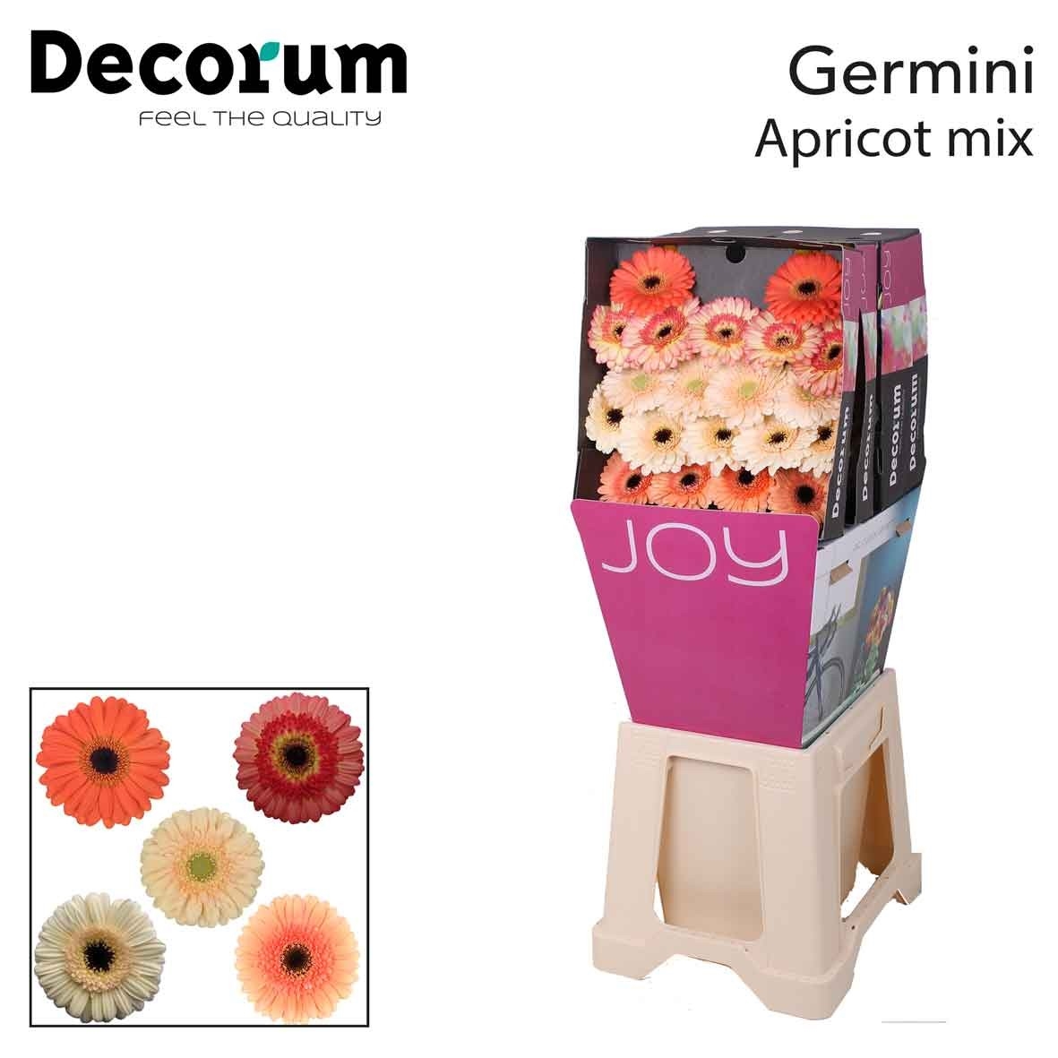 Ge Mi diamond mix Apricot x20 (O D20 APRICO) - FloraXchange