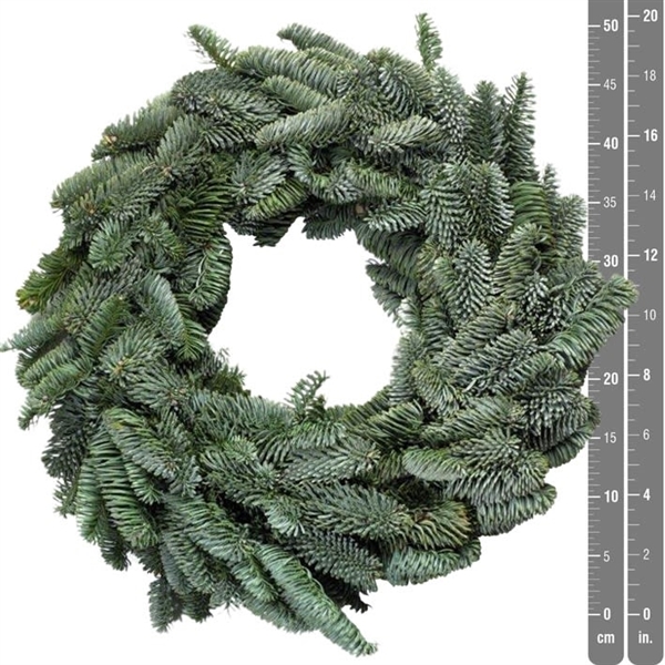 Krans Nobilis halfrond gebonden 50 cm (03) - FloraXchange