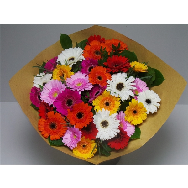 Bouquet Germini Mixed (3727e8409d0ab) - FloraXchange