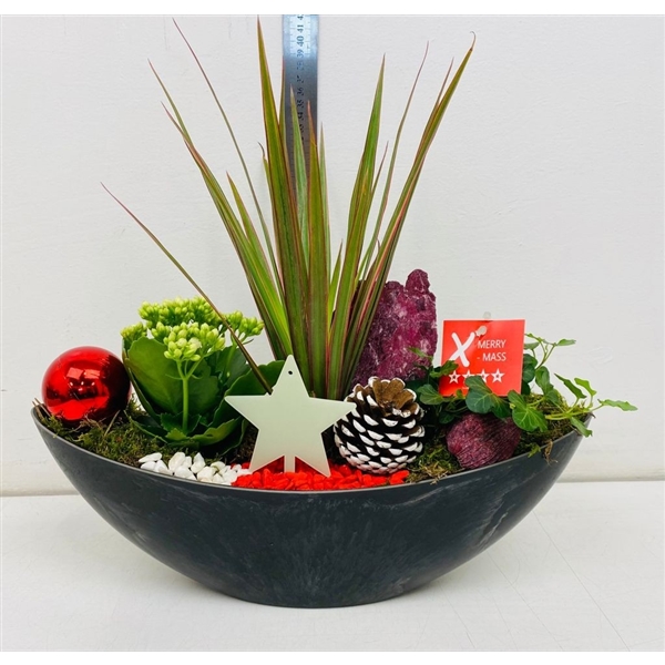 xl boot in kerst opmaak (Kerst202104) - FloraXchange