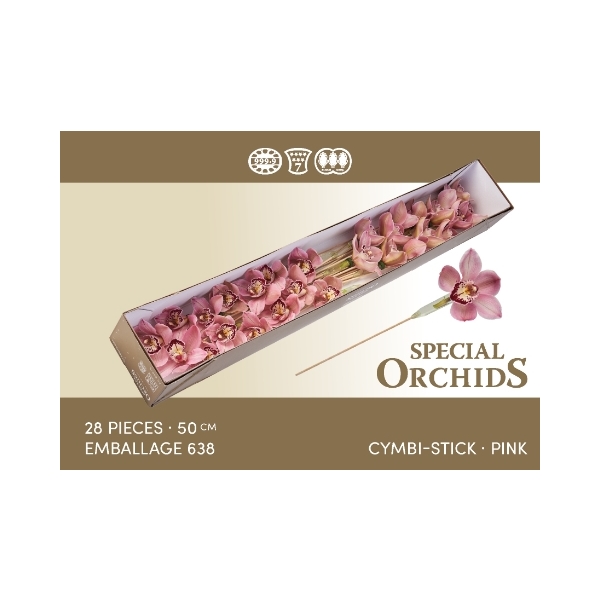 CYMBI-STICK Pink. (GM-33369) - FloraXchange