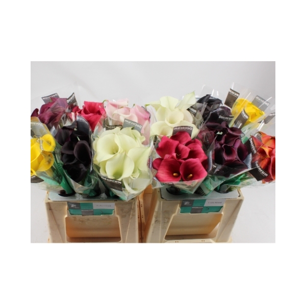 ZANT OV GEM Decorum mix (GM-23398) - FloraXchange